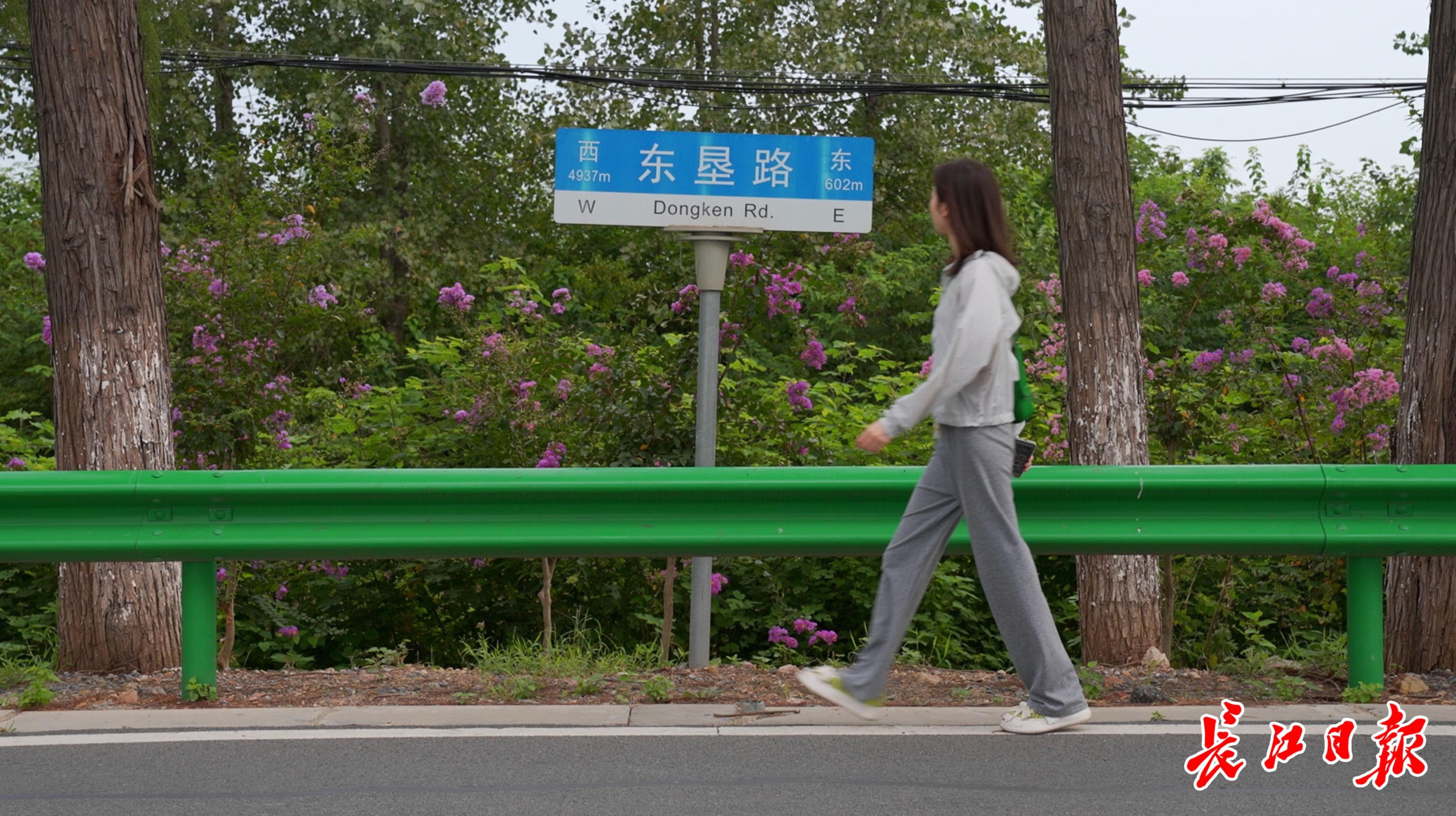 武汉这条梧桐道，太美了 - 武汉市人民政府门户网站